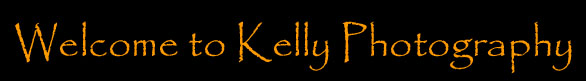 Kelly Photography